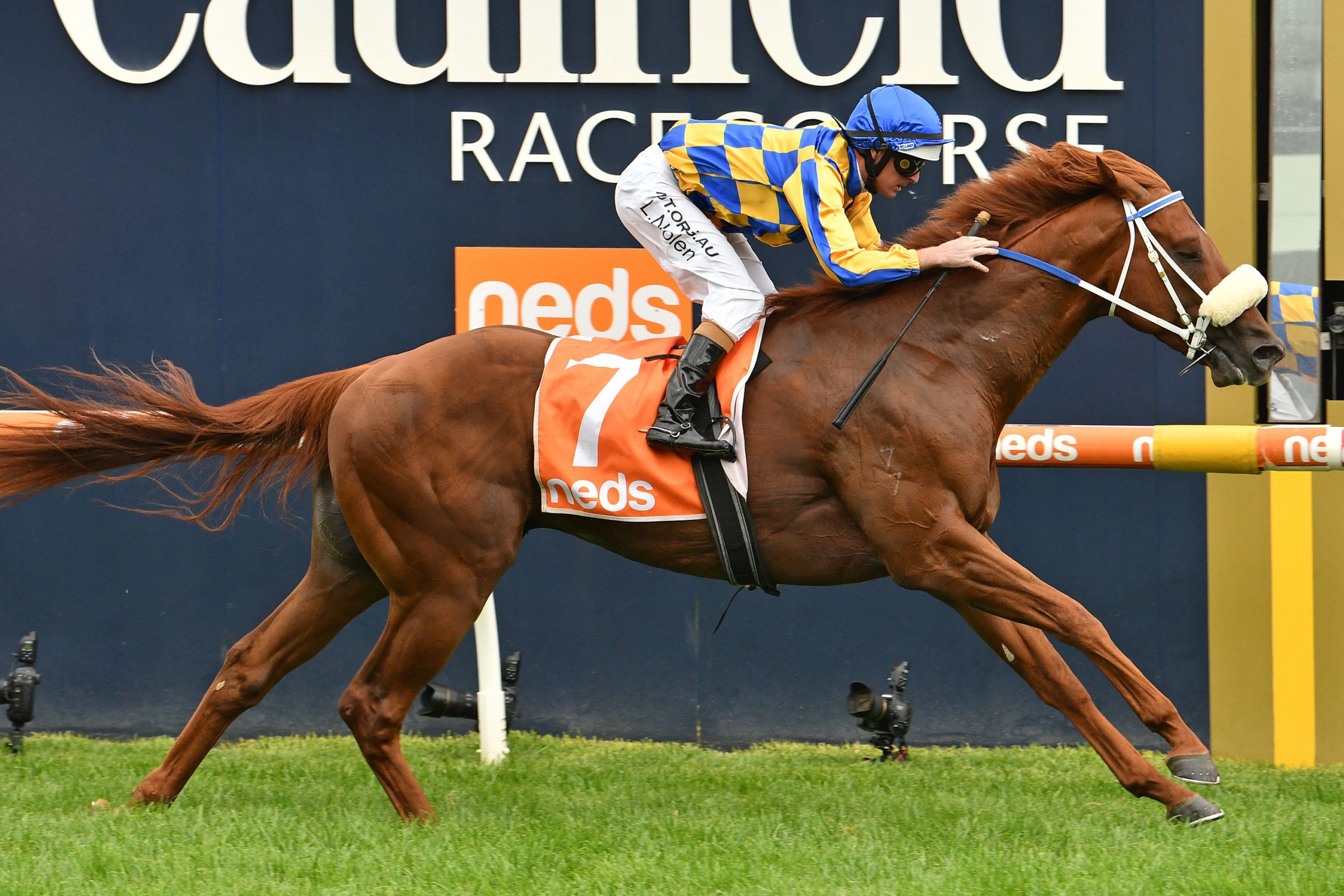 Boom sprinter Oxley Road set for a light spring