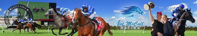 Nat McCall Racing | Spirit Of Boom X Iridescente Colt Horse Report