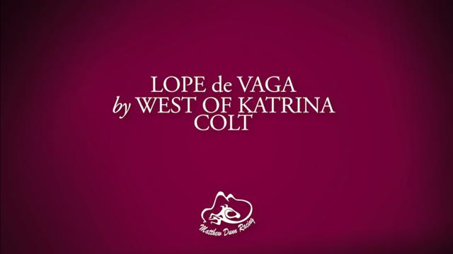 Australian Horse Trainer Matthew Dunn