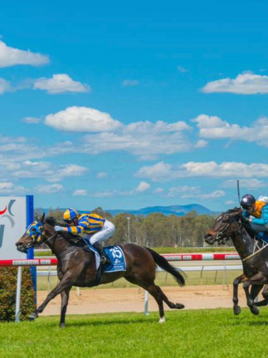 Australian Horse Trainer | Micth Beer Racing| Victoria