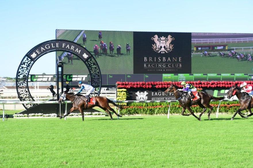 Australian Syndicator | Flying Start Syndications