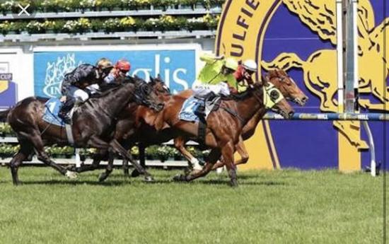 Kane Harris: Australian horse trainers