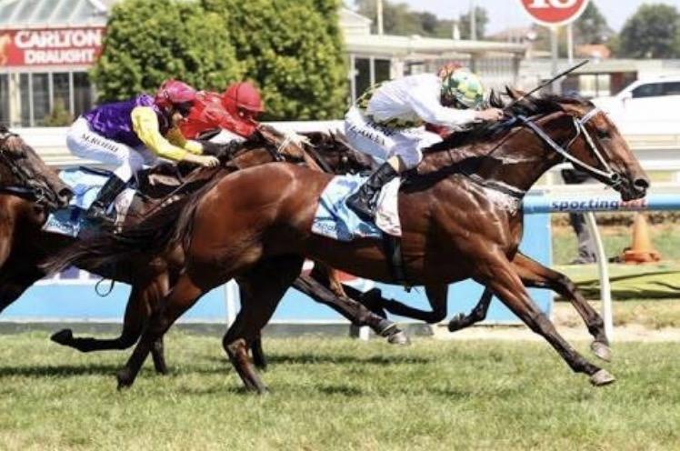 Kane Harris: Australian horse trainers