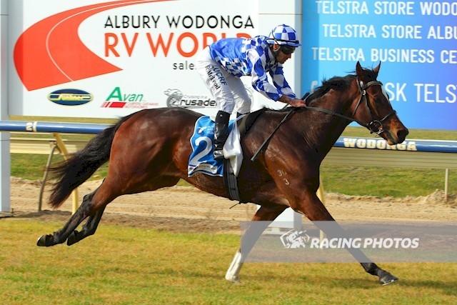 Kane Harris: Australian horse trainers