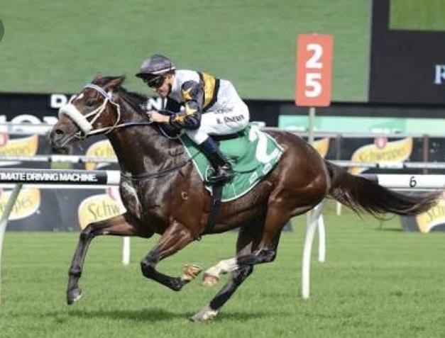 Kane Harris: Australian horse trainers