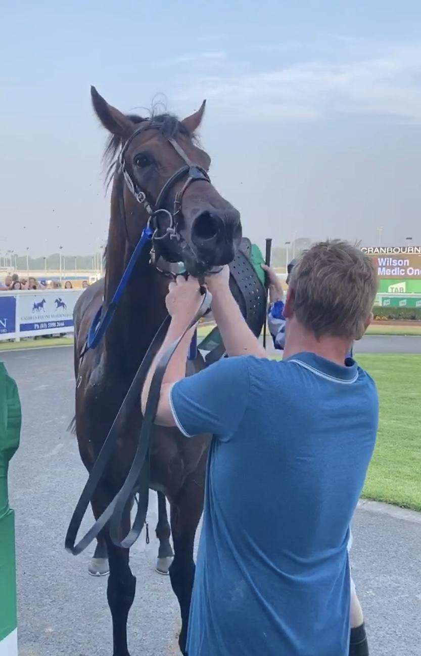 Kane Harris: Australian horse trainers
