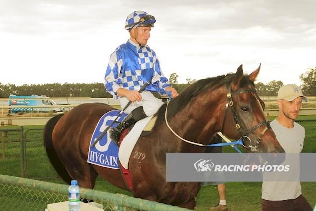 Kane Harris: Australian horse trainers