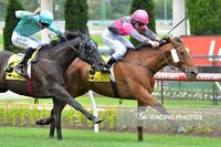 Welcome the Website of Horse Trainers Symon and Bill Wilde