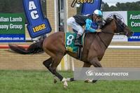 Welcome the Website of Horse Trainers Symon and Bill Wilde