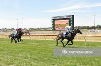 Welcome the Website of Horse Trainers Symon and Bill Wilde