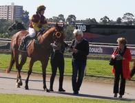 Welcome to the our Website of Western Australian Trainer, Paul Jordan