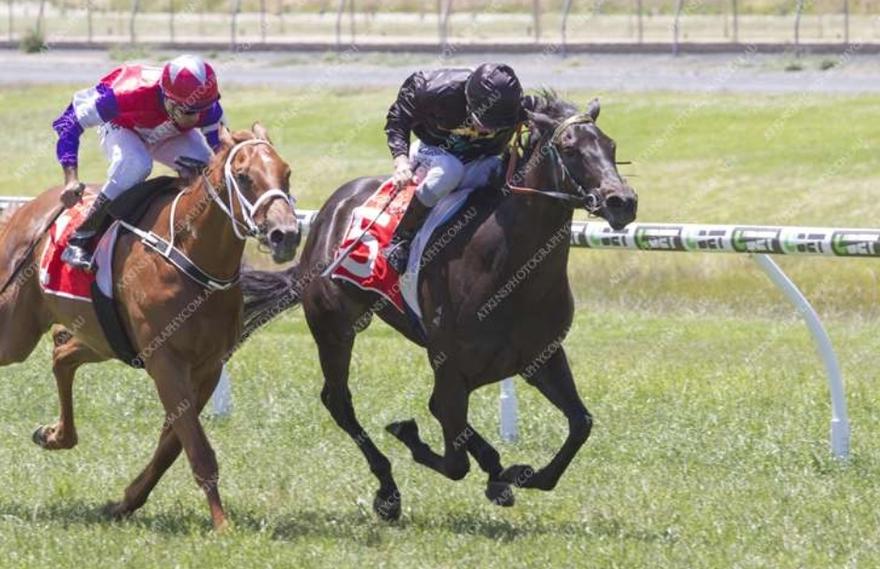 Australian Horse Trainer | Mornington Victoria