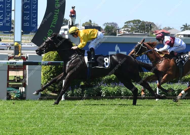 Australian Horse Trainer - Meagher Racing Pty Ltd