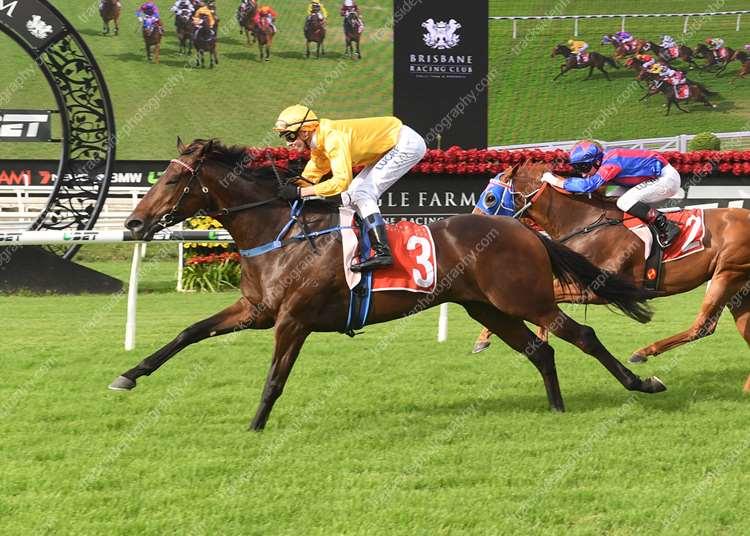 Australian Horse Trainer - Meagher Racing Pty Ltd