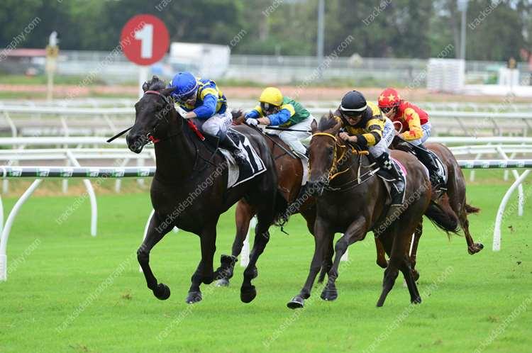 Australian Horse Trainer - Meagher Racing Pty Ltd