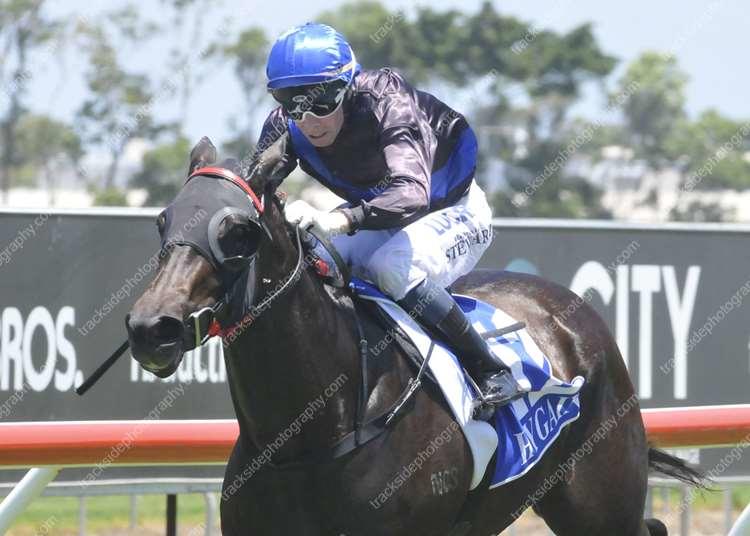 Australian Horse Trainer - Meagher Racing Pty Ltd