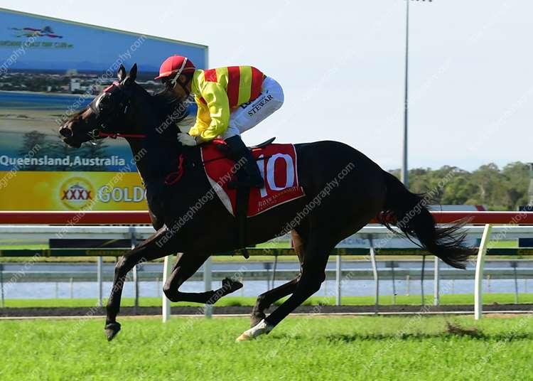 Australian Horse Trainer - Meagher Racing Pty Ltd