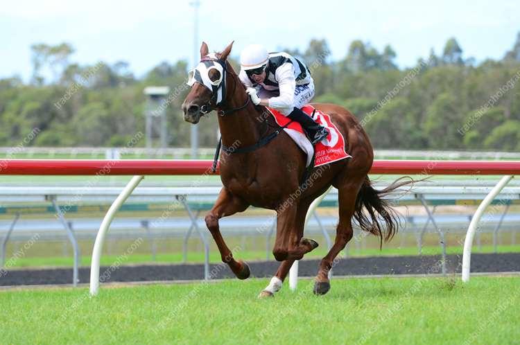 Australian Horse Trainer - Meagher Racing Pty Ltd