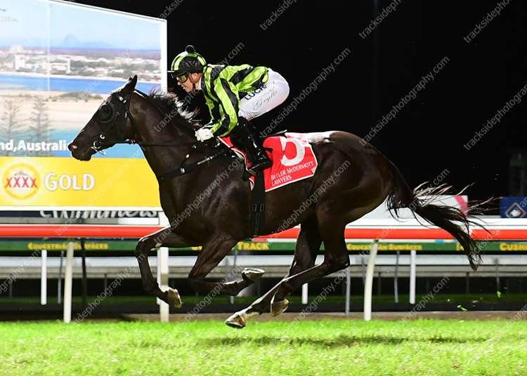 Australian Horse Trainer - Meagher Racing Pty Ltd