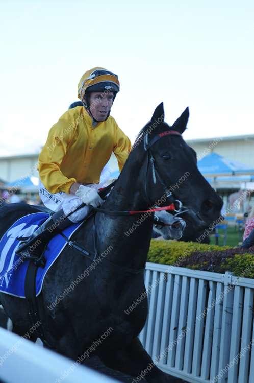 Australian Horse Trainer - Meagher Racing Pty Ltd