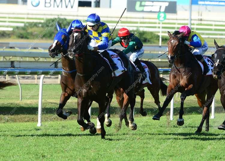 Australian Horse Trainer - Meagher Racing Pty Ltd