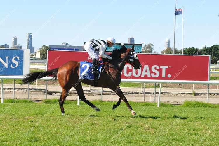 Australian Horse Trainer - Meagher Racing Pty Ltd