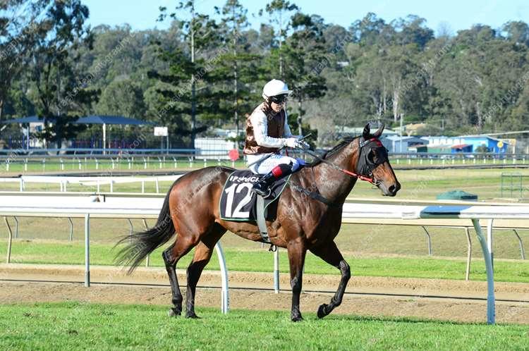 Australian Horse Trainer - Meagher Racing Pty Ltd