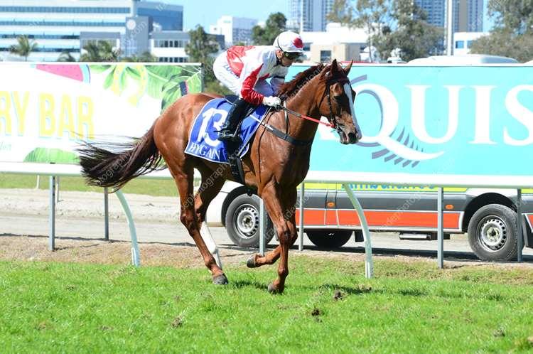 Australian Horse Trainer - Meagher Racing Pty Ltd