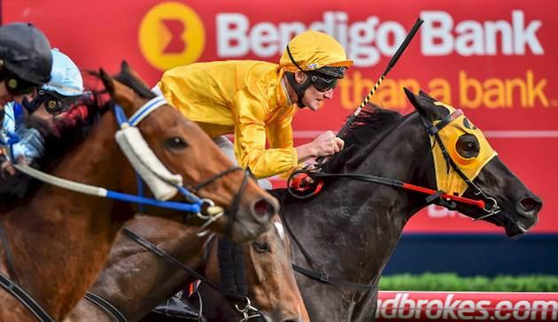 Australian Horse Trainer - Meagher Racing Pty Ltd