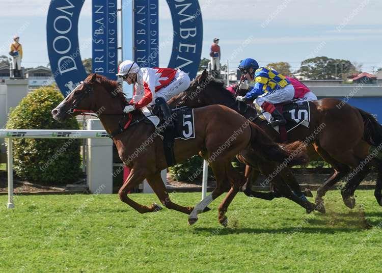 Australian Horse Trainer - Meagher Racing Pty Ltd