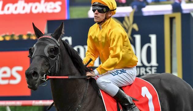 Australian Horse Trainer - Meagher Racing Pty Ltd