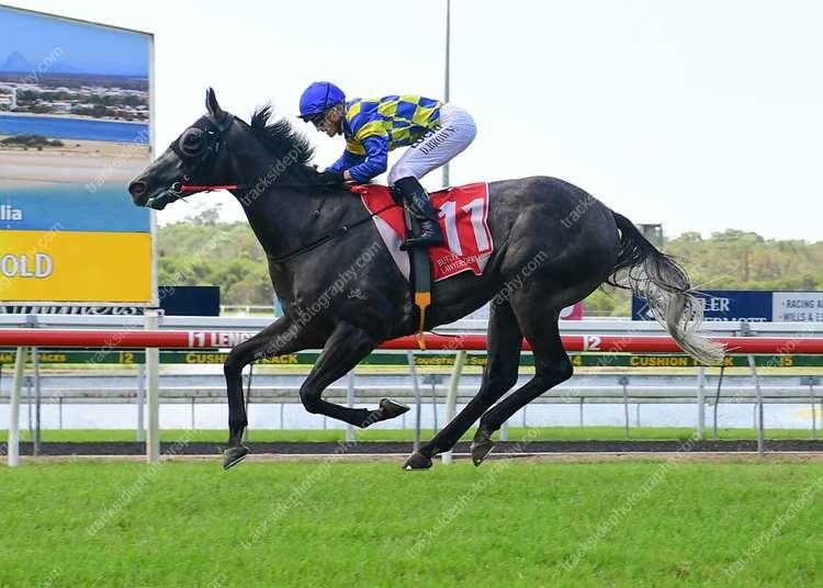 Australian Horse Trainer - Meagher Racing Pty Ltd