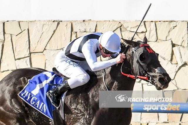 Australian Horse Trainer - Meagher Racing Pty Ltd