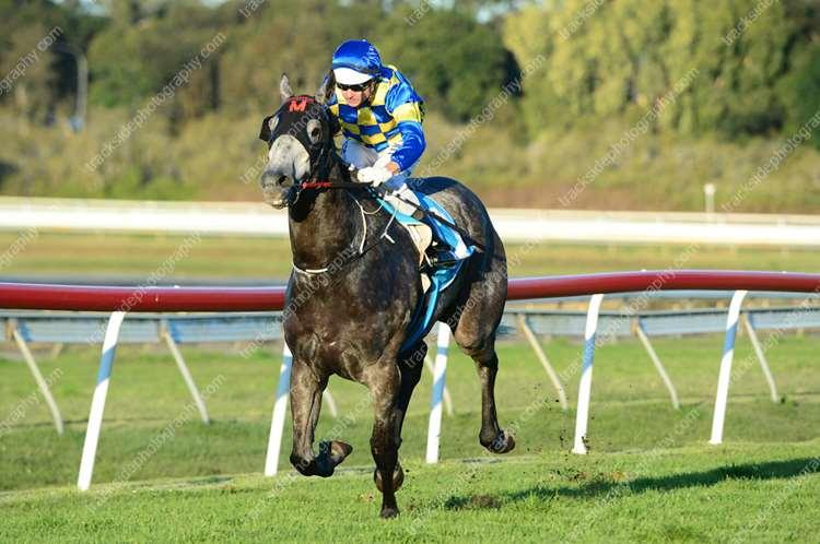 Australian Horse Trainer - Meagher Racing Pty Ltd