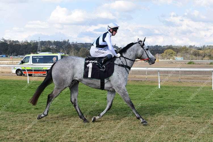 Australian Horse Trainer - Meagher Racing Pty Ltd