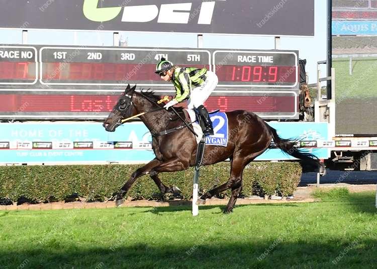 Australian Horse Trainer - Meagher Racing Pty Ltd