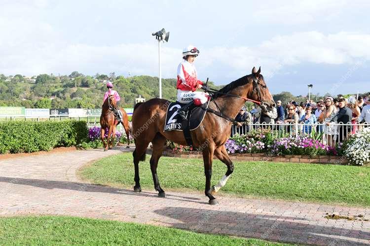 Australian Horse Trainer - Meagher Racing Pty Ltd