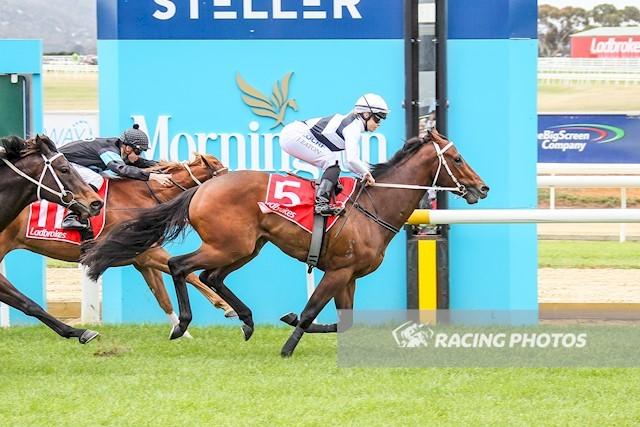 Australian Horse Trainer - Meagher Racing Pty Ltd