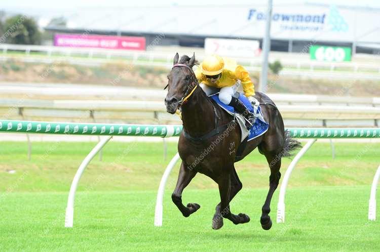 Australian Horse Trainer - Meagher Racing Pty Ltd