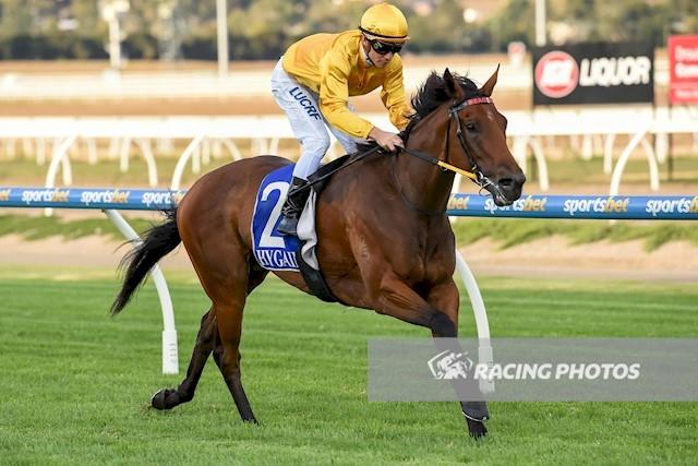 Australian Horse Trainer - Meagher Racing Pty Ltd