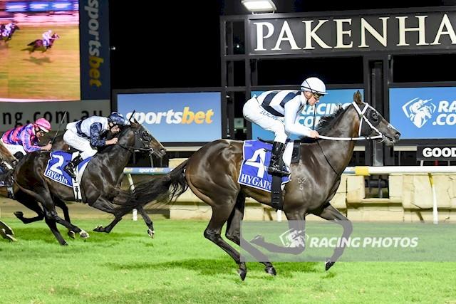 Australian Horse Trainer - Meagher Racing Pty Ltd