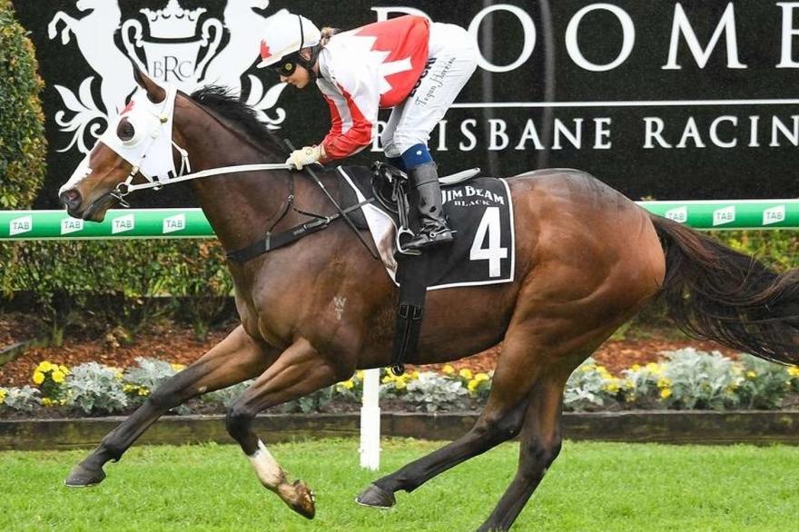 Australian Horse Trainer - Meagher Racing Pty Ltd