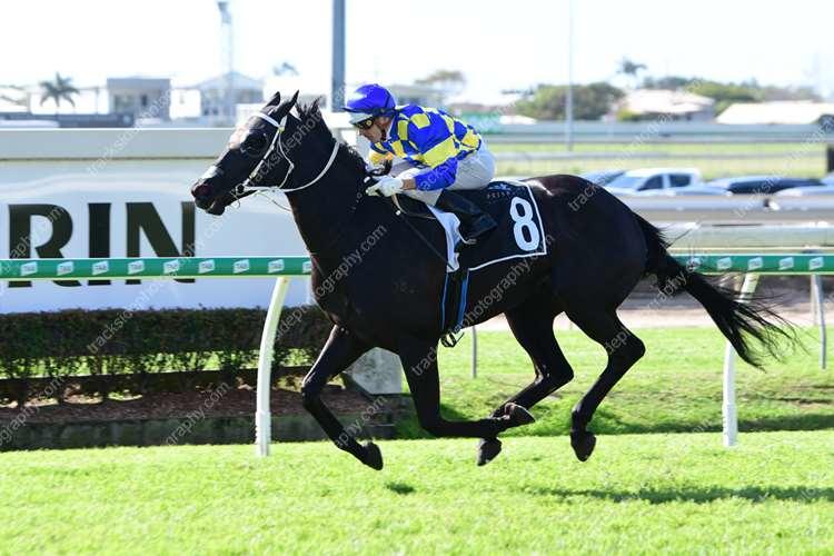 Australian Horse Trainer - Meagher Racing Pty Ltd