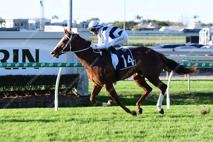 Australian Horse Trainer - Meagher Racing Pty Ltd