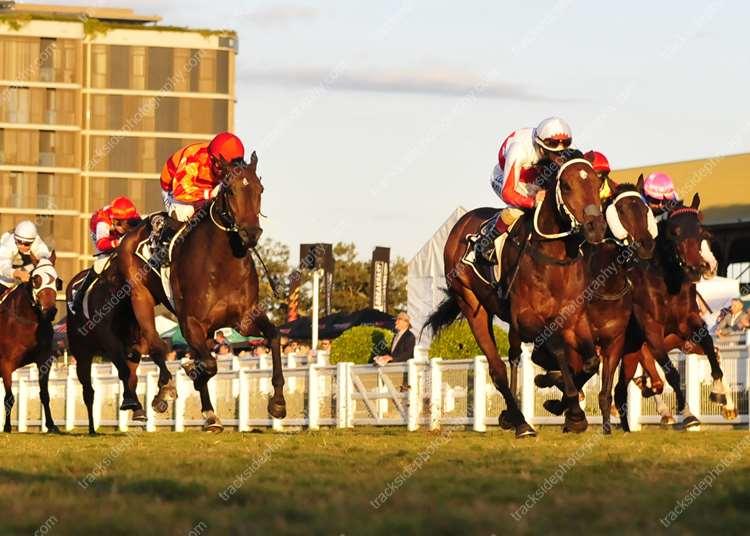 Australian Horse Trainer - Meagher Racing Pty Ltd