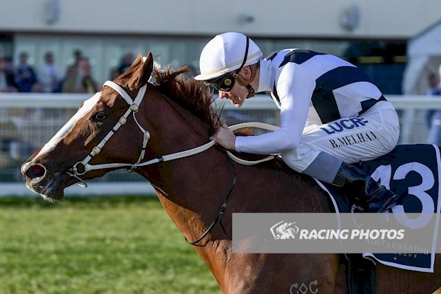 Australian Horse Trainer - Meagher Racing Pty Ltd