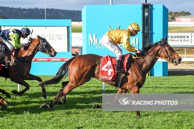 Australian Horse Trainer - Meagher Racing Pty Ltd