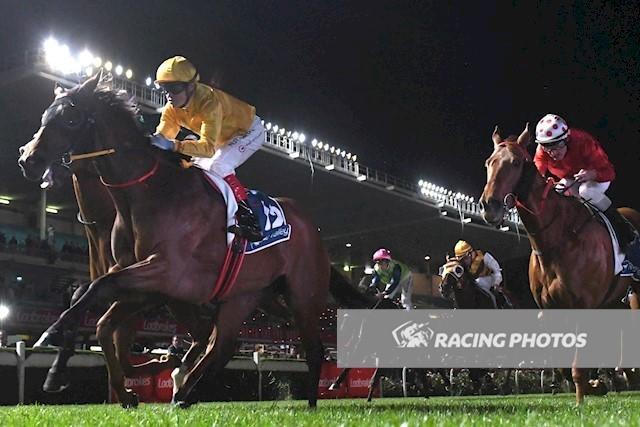 Australian Horse Trainer - Meagher Racing Pty Ltd