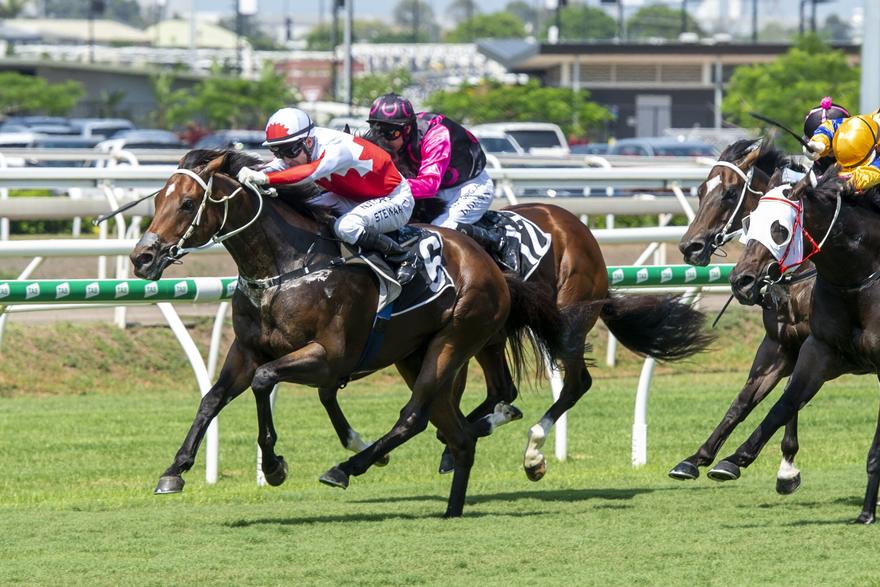 Australian Horse Trainer - Meagher Racing Pty Ltd