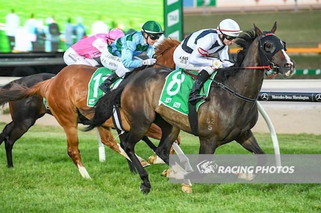 Australian Horse Trainer - Meagher Racing Pty Ltd